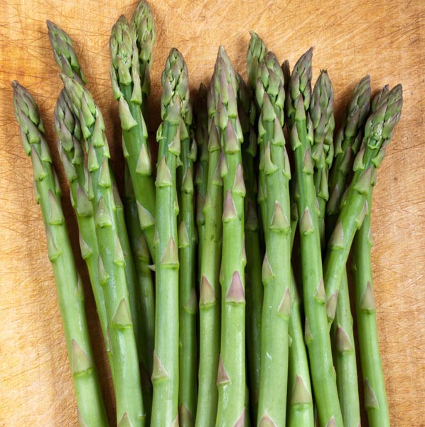 Asparagus, Mary Washington - Colour Paradise Greenhouses